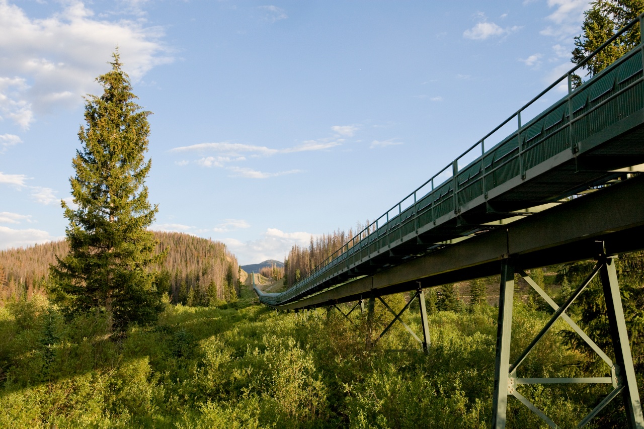 Mines students tackle real-world sustainability challenge with Freeport ...