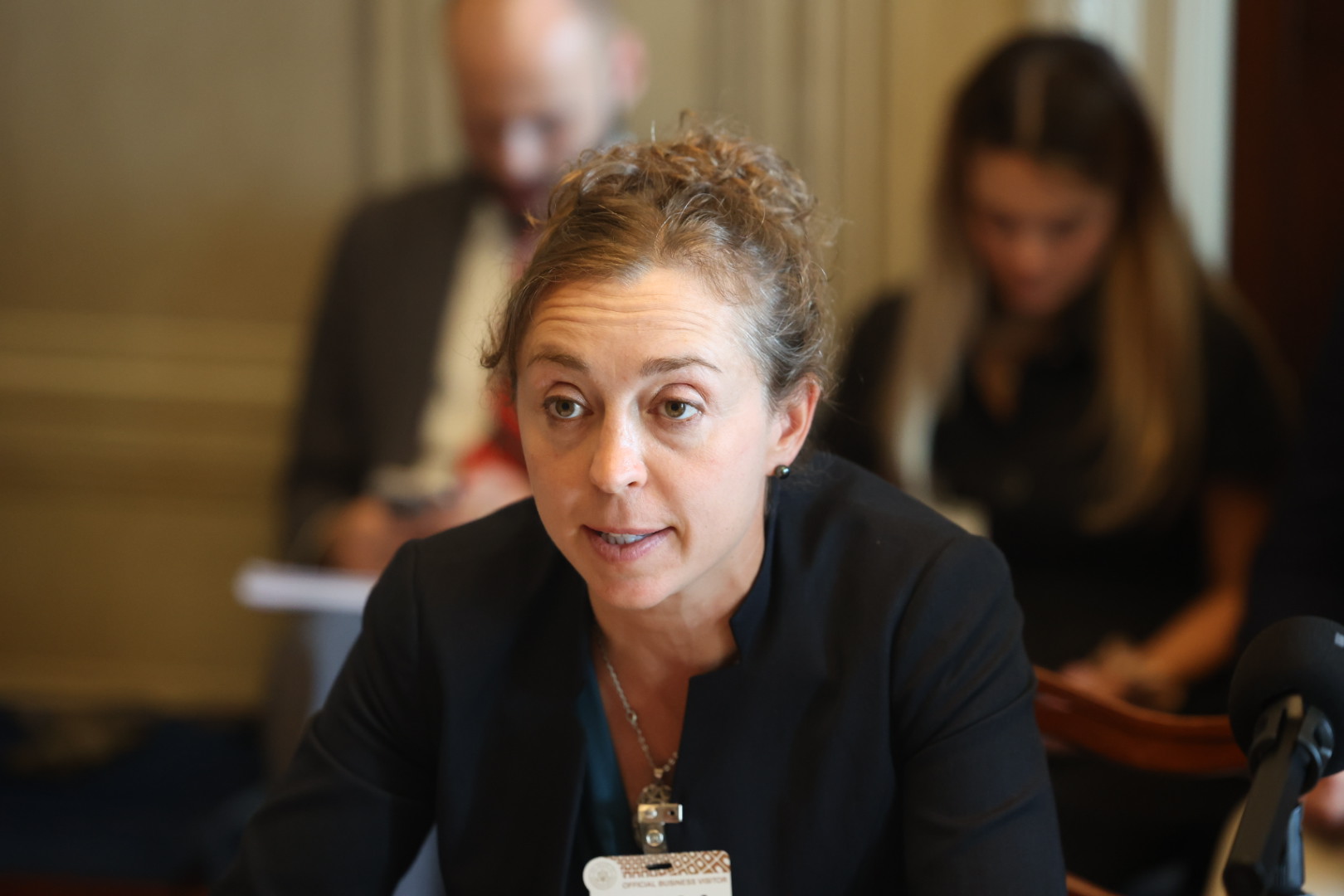 Mines faculty member testifies before congressional critical minerals ...