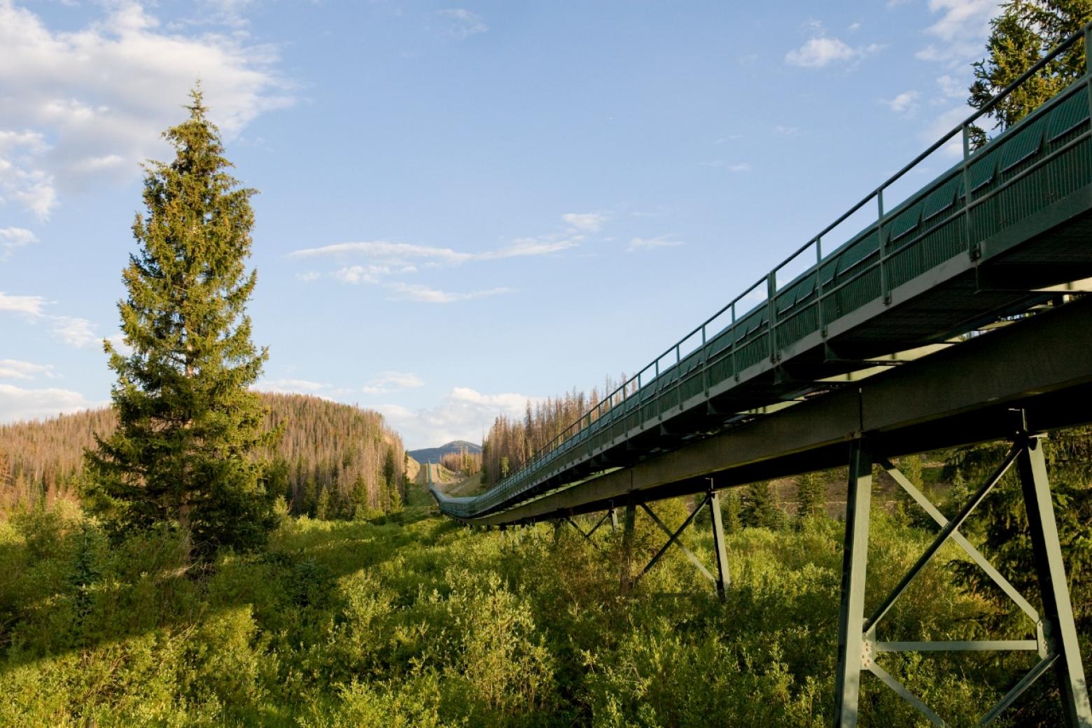 Tailings-to-glass facility wins Henderson Sustainability Challenge ...