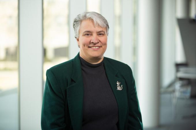 Petroleum engineering faculty cracking open enhanced geothermal energy ...