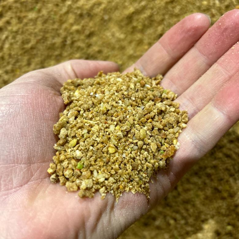 Mines alum transforming food waste into high-quality animal feed ...